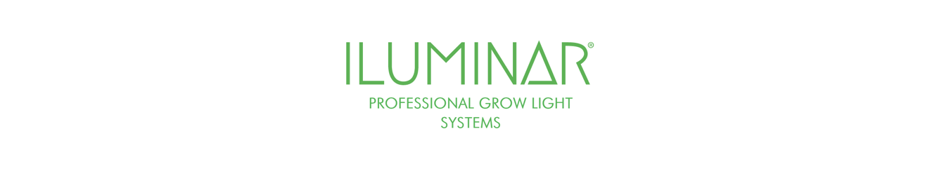iLuminar Lighting | Grow Lights – Evolve Garden Supply